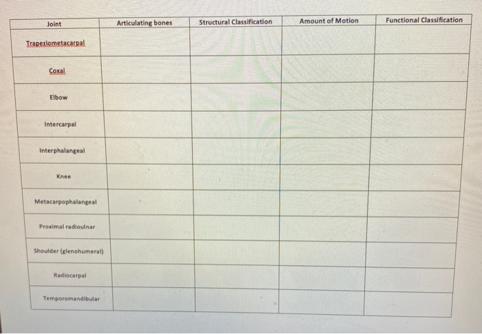 Solved Complete structural and functional classification of | Chegg.com