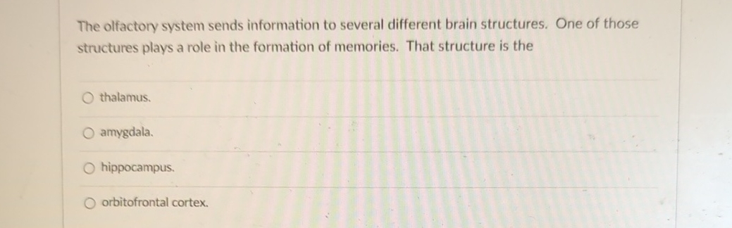 Solved The olfactory system sends information to several | Chegg.com