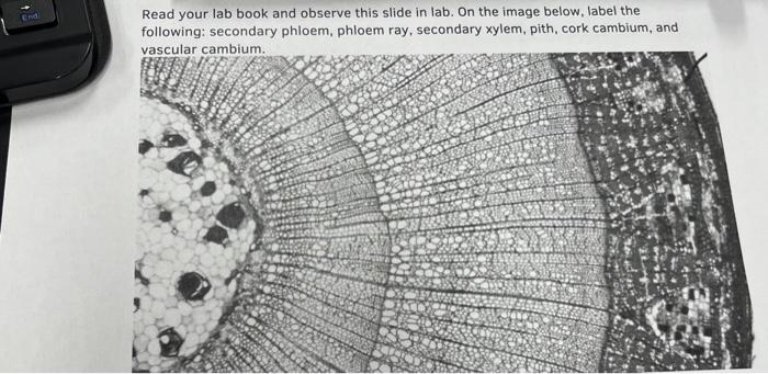 Read your lab book and observe this slide in lab. On | Chegg.com