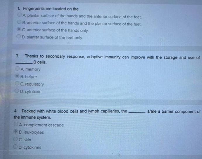 Solved 1. Fingerprints are located on the A. plantar surface | Chegg.com