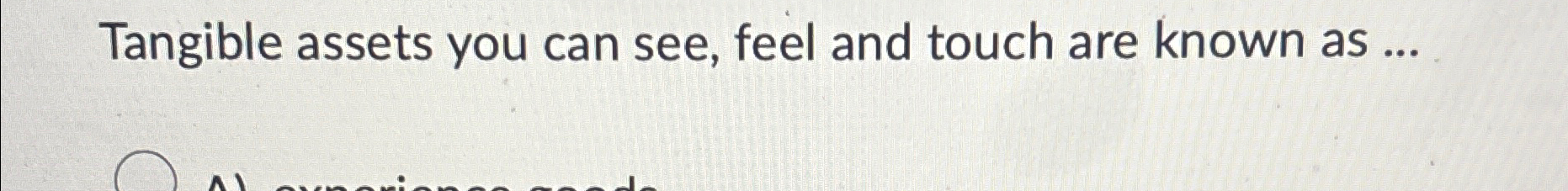 Solved Tangible assets you can see, feel and touch are known | Chegg.com