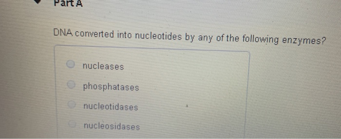Solved Part A DNA converted into nucleotides by any of the | Chegg.com