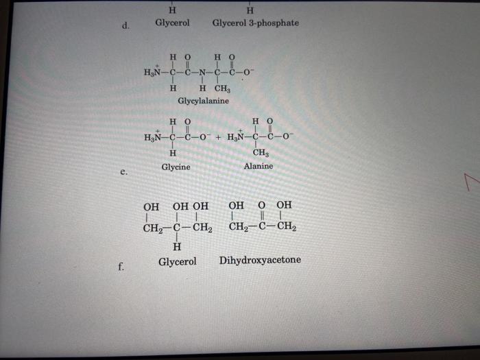 Solved 10. For the following pairs of biomolecules, identify | Chegg.com