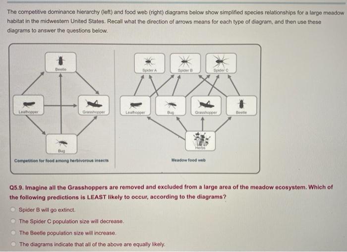Solved The competitive dominance hierarchy (left) and food | Chegg.com