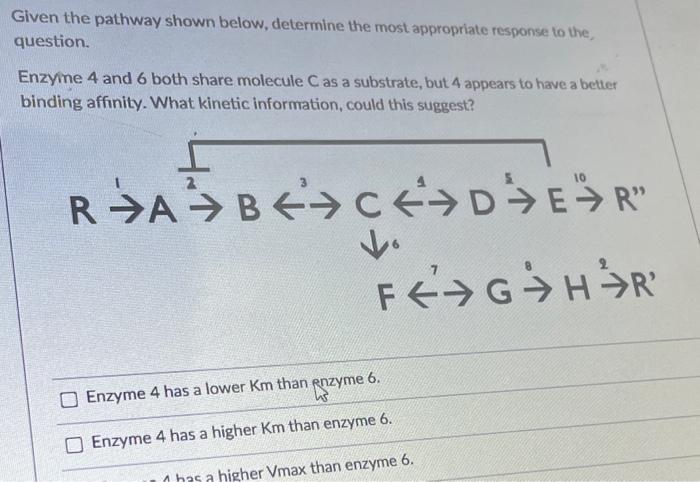 Solved option 3 is enzyme 4 has higher vmax than 6 4 ezyme 4 | Chegg.com