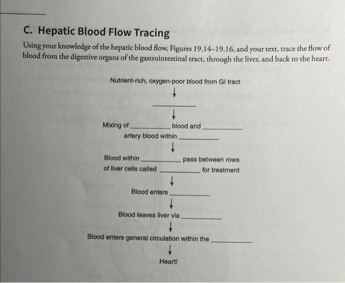 Solved C. Hepatic Blood Flow Tracing Using your knowledge of | Chegg.com