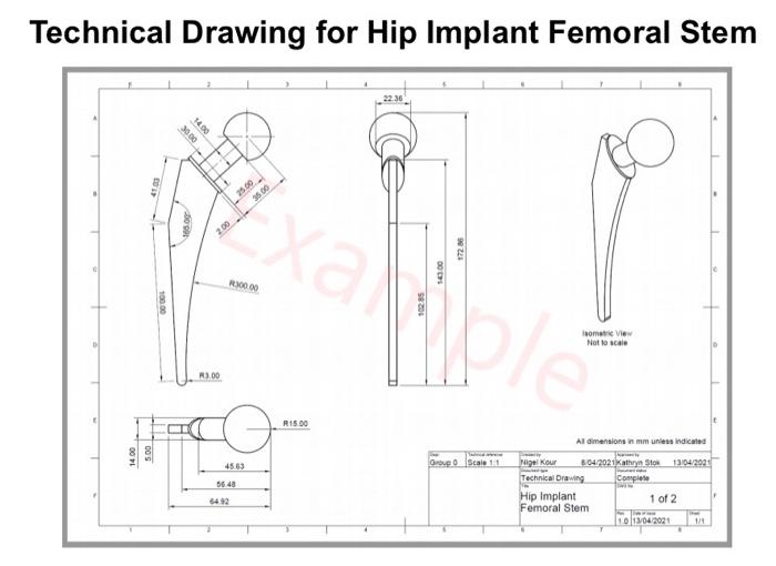 Solved The hip prosthesis that you drew in Workshops 1 & 2 | Chegg.com