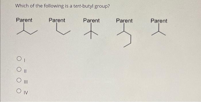 Solved Which of the following is a tert-butyl group? Parent | Chegg.com