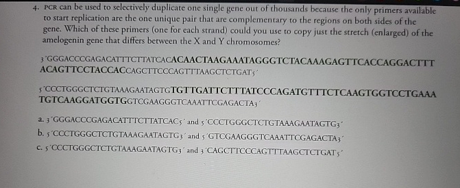 Solved PCR can be used to selectively duplicate one single | Chegg.com
