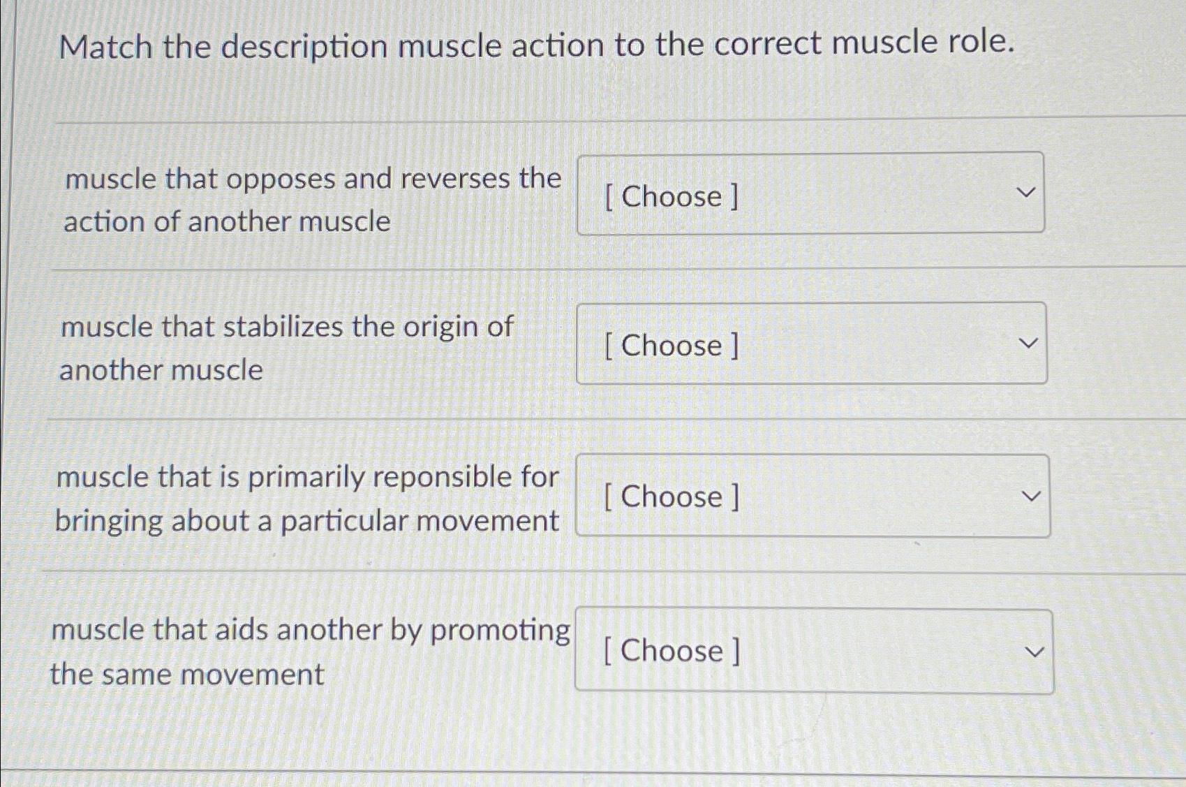 Solved Match the description muscle action to the correct | Chegg.com
