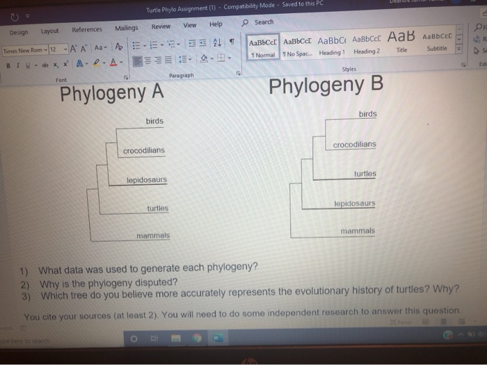 Solved Turtle Phylo Assignment (1) Compatibility Mode Saved | Chegg.com