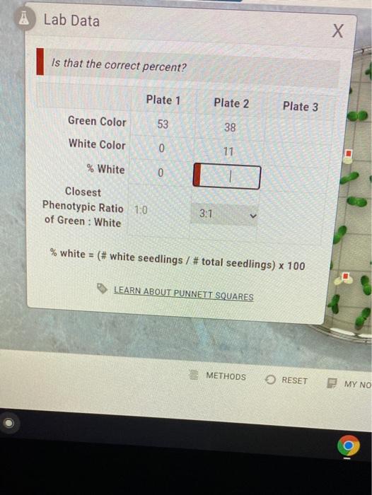 Solved Ā Lab Data Х Is that the correct percent? Plate 1 | Chegg.com