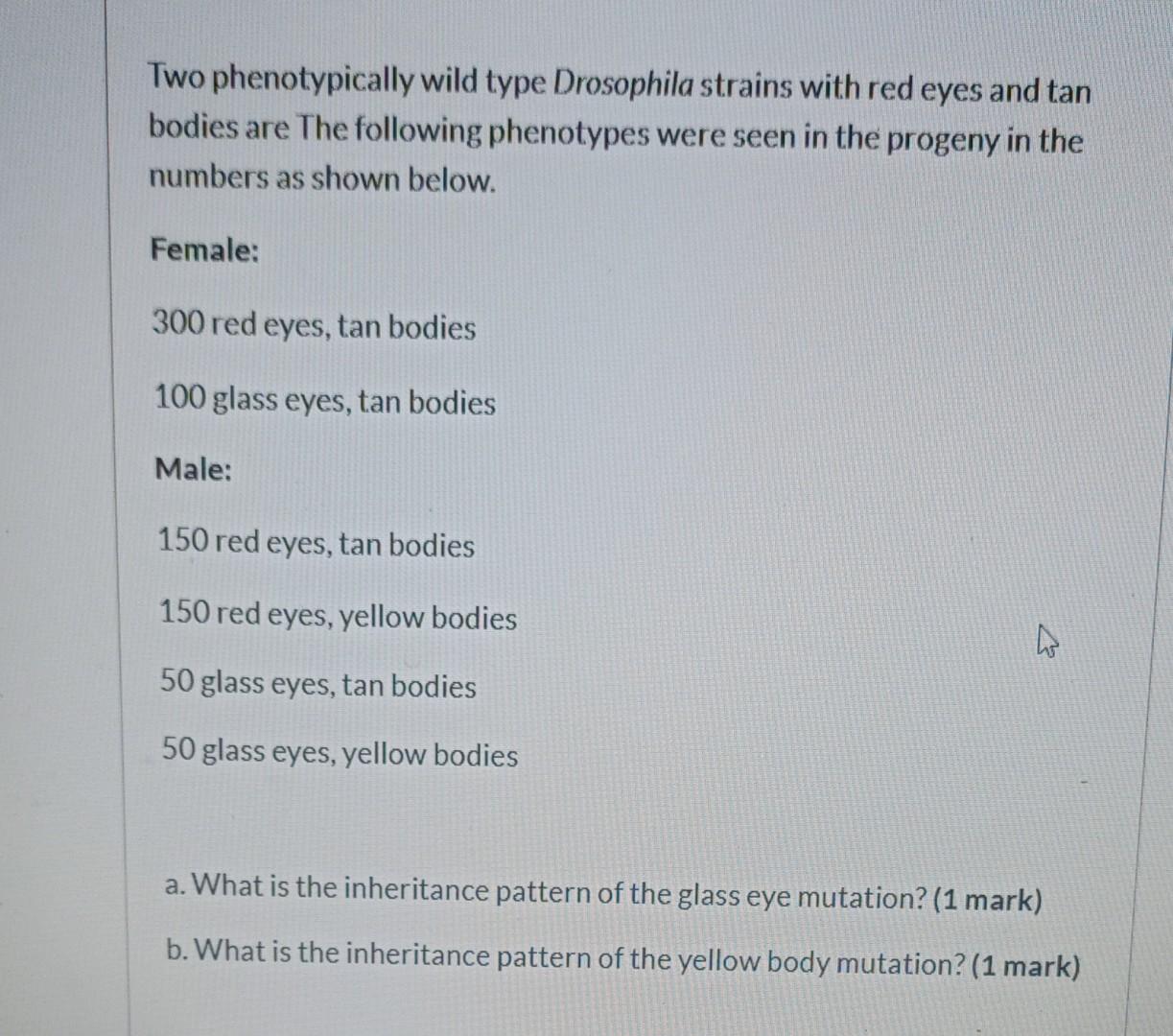 Solved Two phenotypically wild type Drosophila strains with | Chegg.com