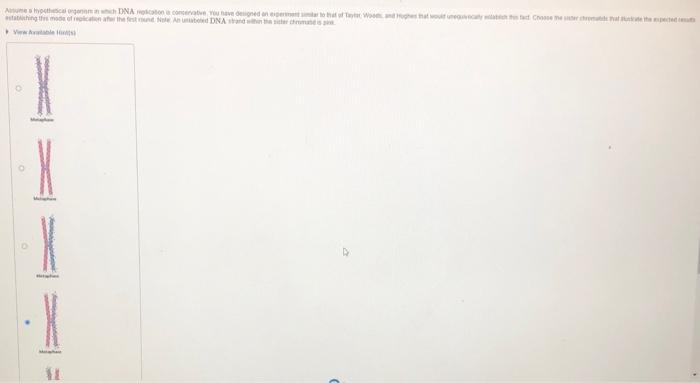 Solved assume a hypothetical organism in which DNA | Chegg.com