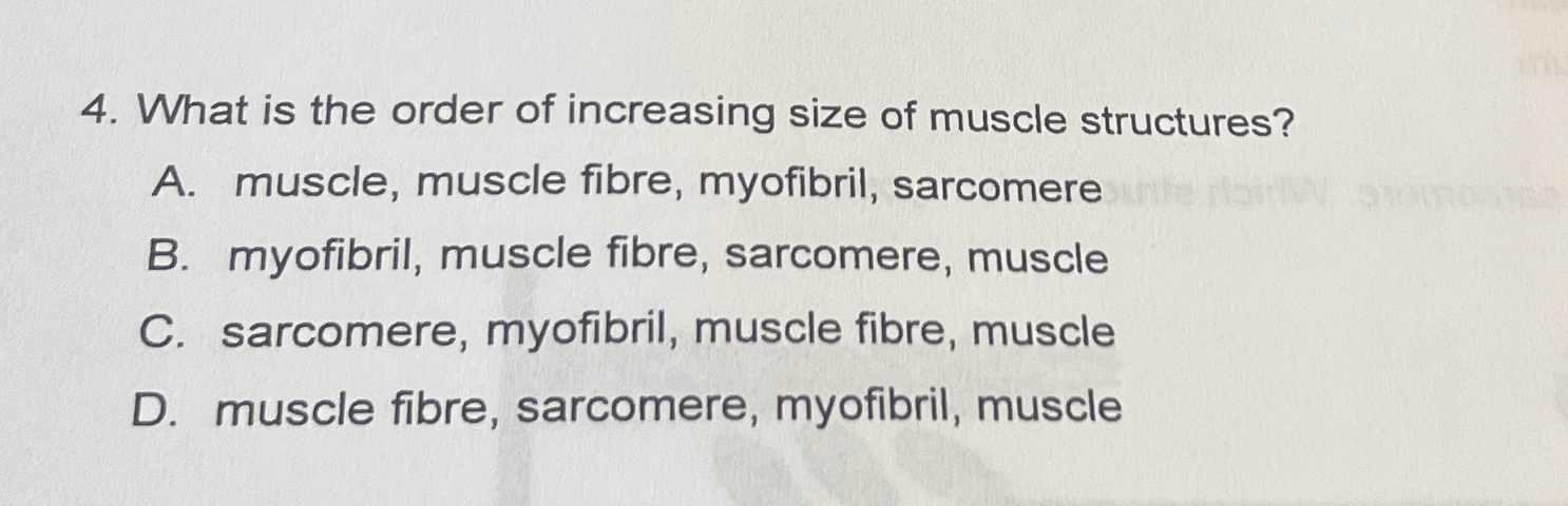 Solved What is the order of increasing size of muscle | Chegg.com