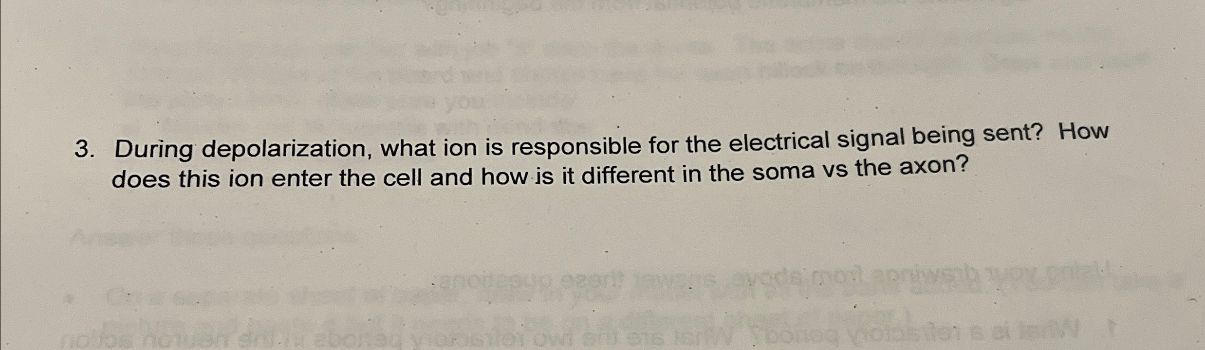 Solved During depolarization, what ion is responsible for | Chegg.com