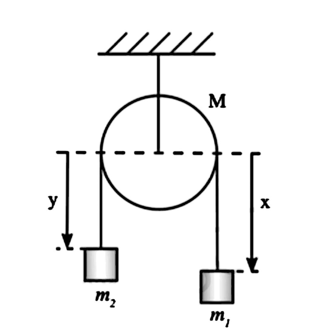 Solved Consider two objects of mass m1 and m2 suspended by a | Chegg.com