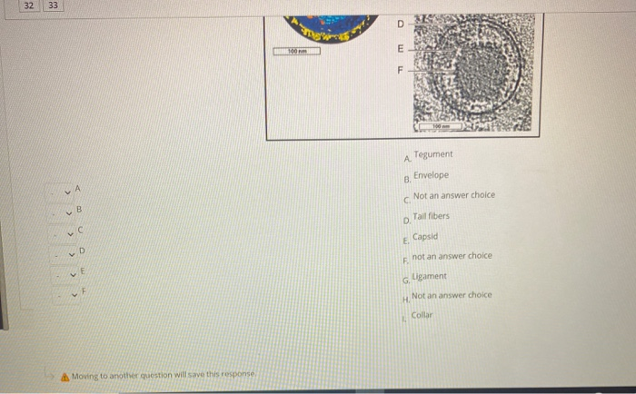 Solved estion 20 Below are two images of a virus with the | Chegg.com
