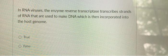 Solved In RNA viruses, the enzyme reverse transcriptase | Chegg.com