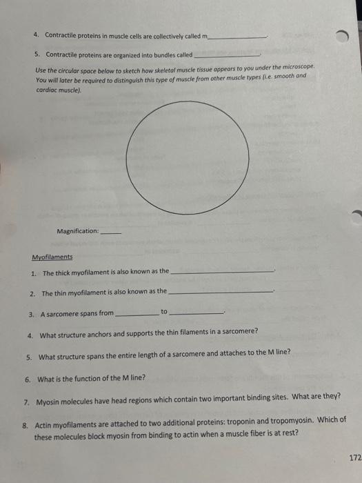 Review Questions: Anatomy of Whole Muscle 1. The | Chegg.com