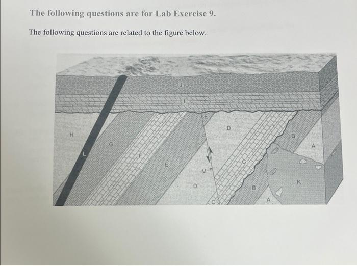 Solved The following questions are for Lab Exercise 9. The | Chegg.com
