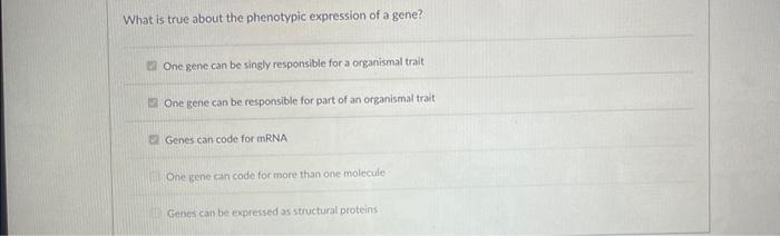 Solved What is true about the phenotypic expression of a | Chegg.com