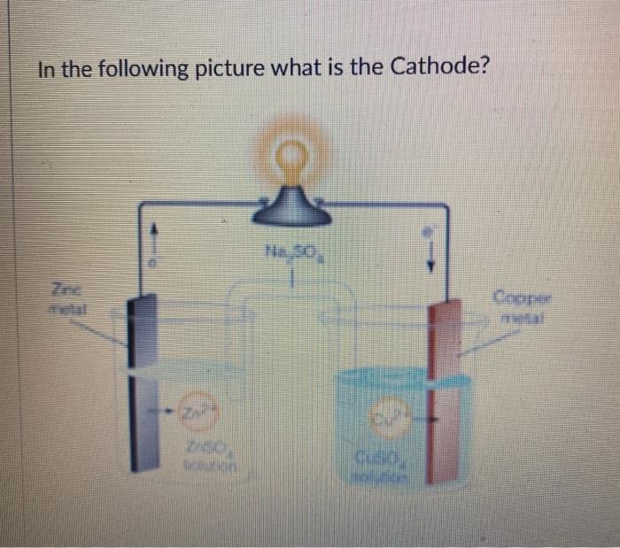 Solved In the following picture what is the Cathode? NO | Chegg.com
