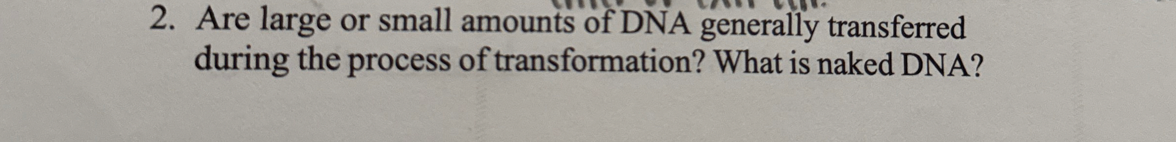 Solved Are large or small amounts of DNA generally | Chegg.com