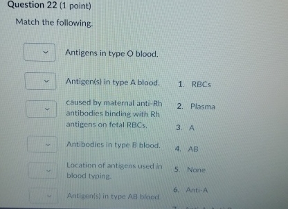 High Quality SOLUTION Question 22 (1 ﻿point)Match the following. ﻿Antigens | Chegg.com
