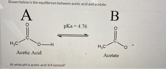 Solved Show below is the equilibrium between acetic acid and | Chegg.com