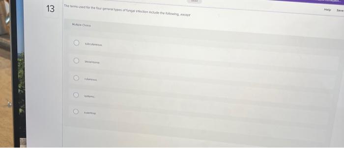 Solved 13 | Chegg.com