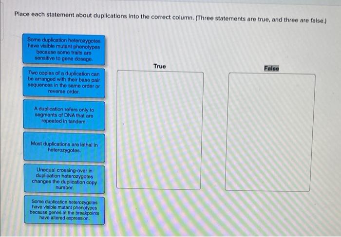 Solved Place each statement about duplications into the | Chegg.com