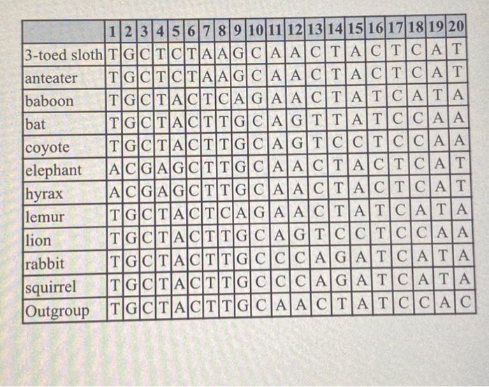 Solved phylogeny. You will probably want to work on scratch | Chegg.com