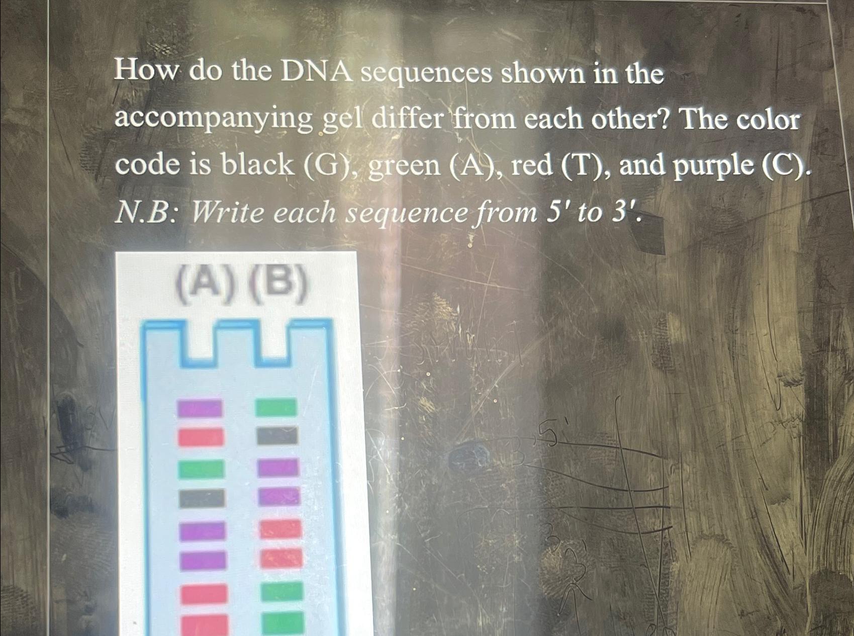 Solved How do the DNA sequences shown in the accompanying | Chegg.com