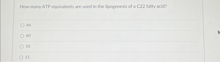 Solved How many ATP equivalents are used in the lipogenesis | Chegg.com