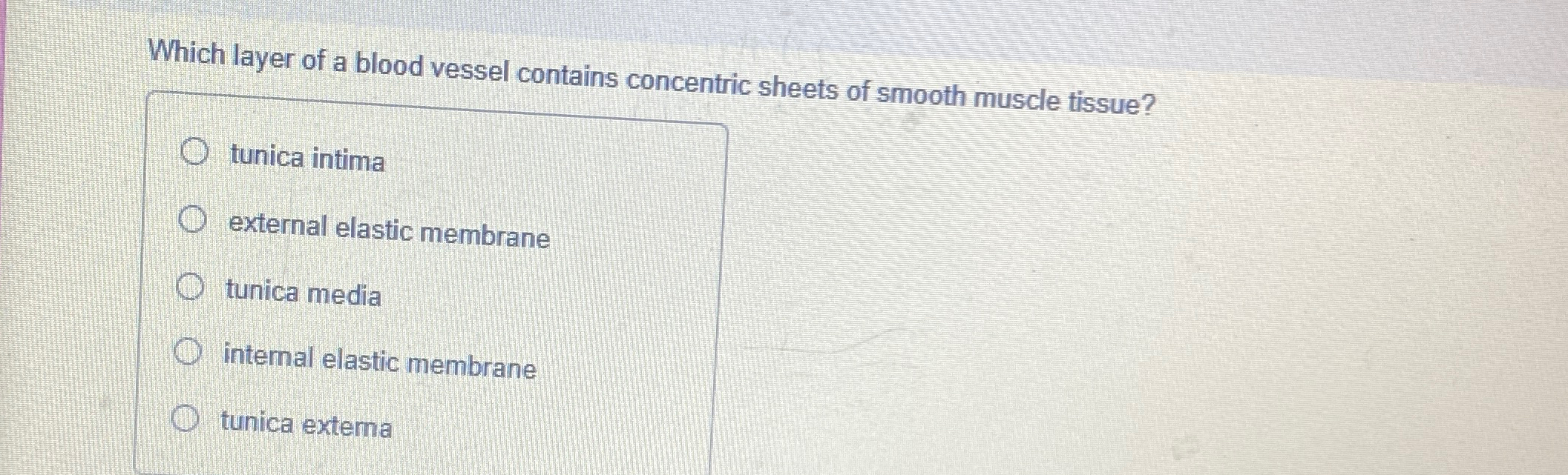 Solved Which layer of a blood vessel contains concentric | Chegg.com