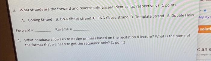 Solved 3. What strands are the forward and reverse primers | Chegg.com
