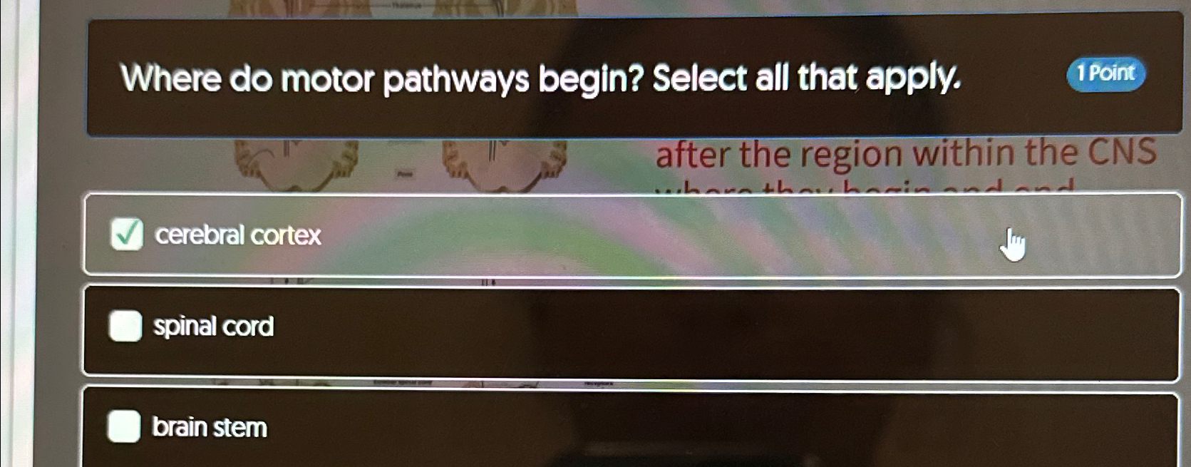 Solved Where do motor pathways begin? Select all that | Chegg.com