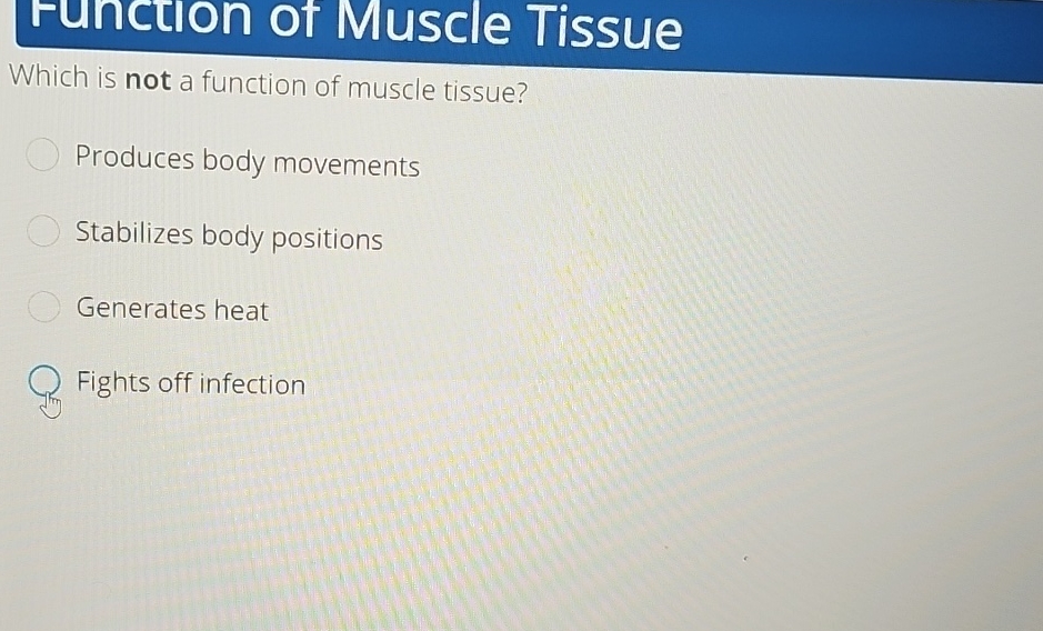 Solved runction of Muscle TissueWhich is not a function of | Chegg.com