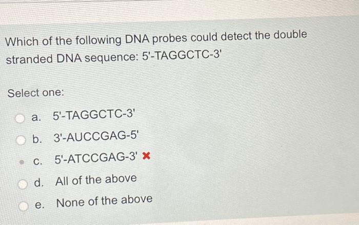 Solved Which of the following DNA probes could detect the | Chegg.com