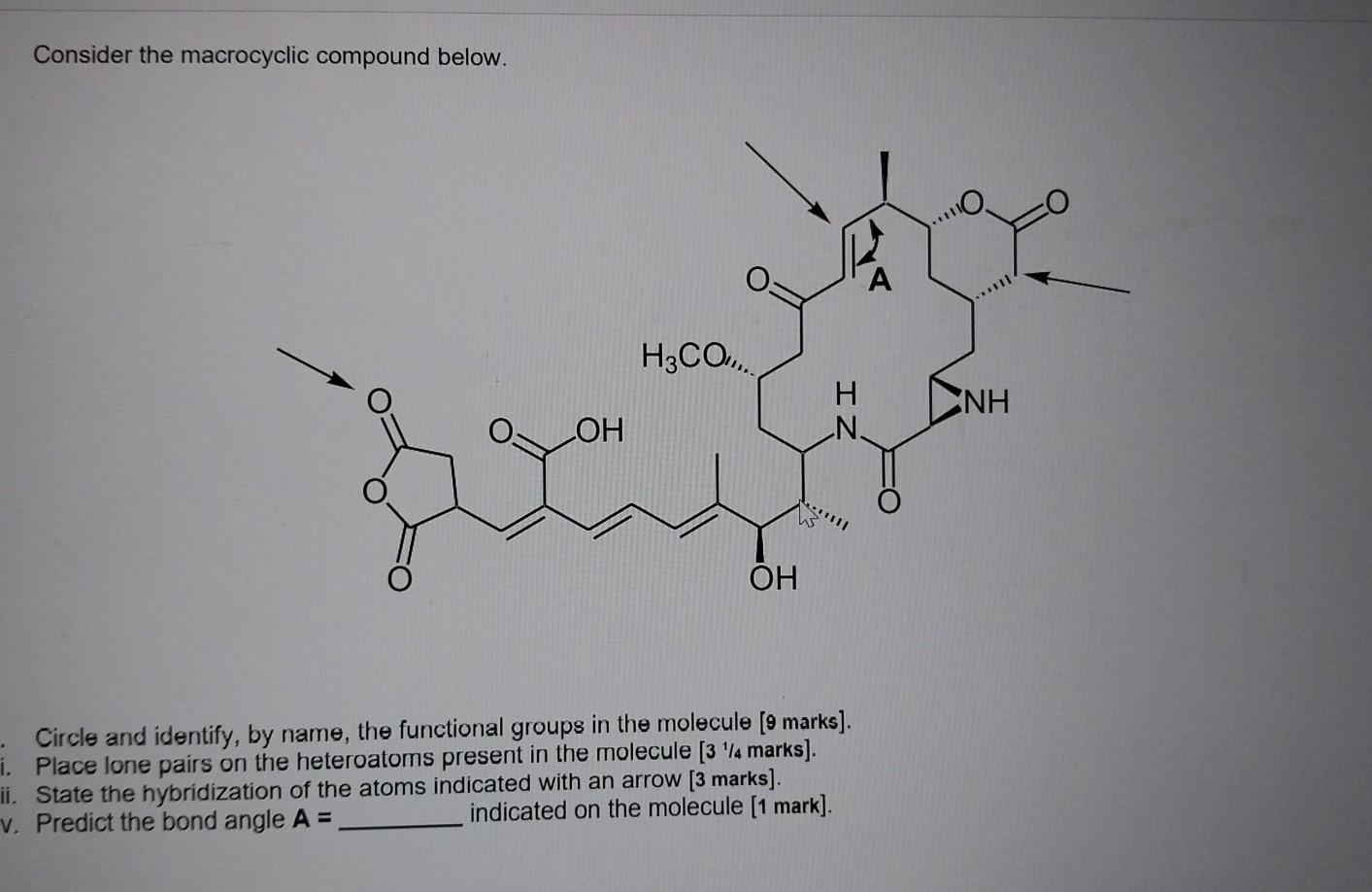 Solved Consider the macrocyclic compound below. Circle and | Chegg.com