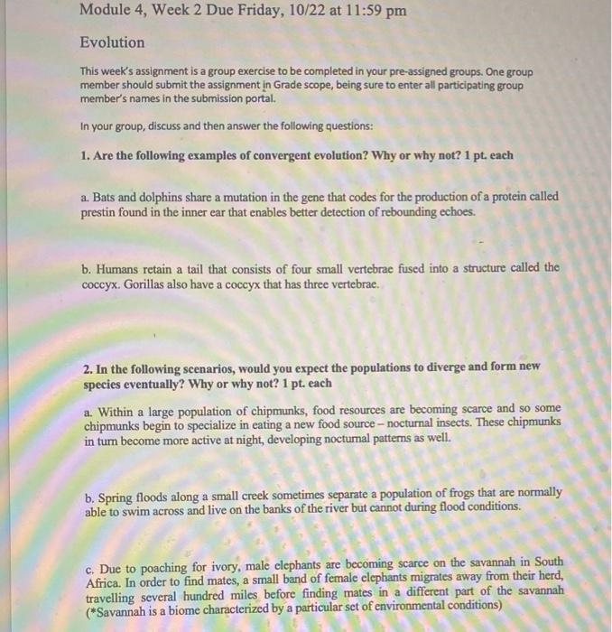 Module 4, Week 2 Due Friday, 10/22 at 11:59 pm | Chegg.com