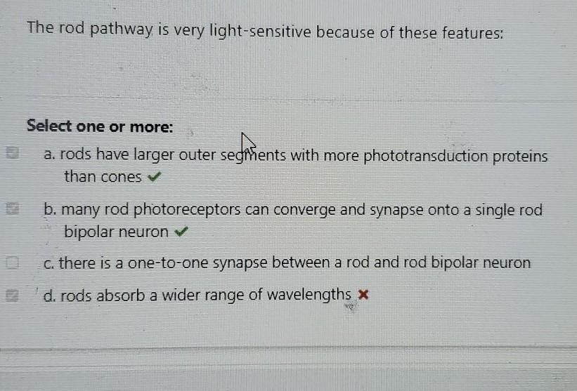 Solved What is a center-surround receptive field? Select | Chegg.com