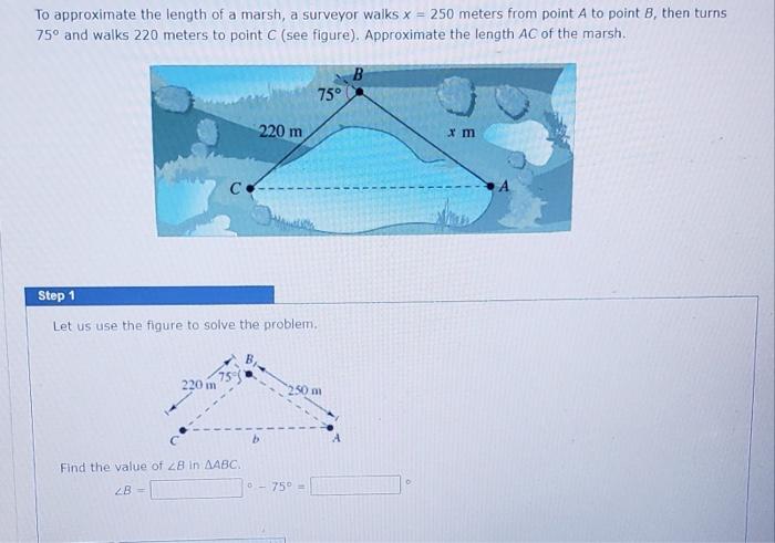 Solved To approximate the length of a marsh, a surveyor | Chegg.com