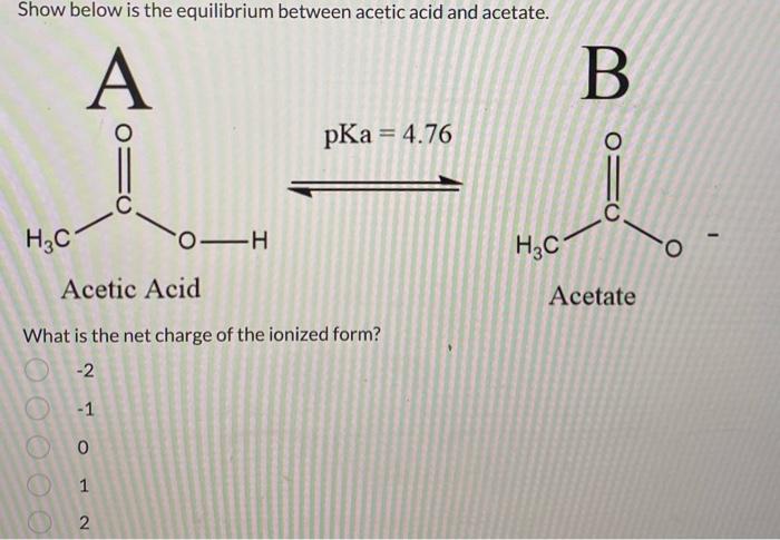 Solved Show below is the equilibrium between acetic acid and | Chegg.com