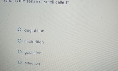 Solved vvilat is the sense of smell | Chegg.com