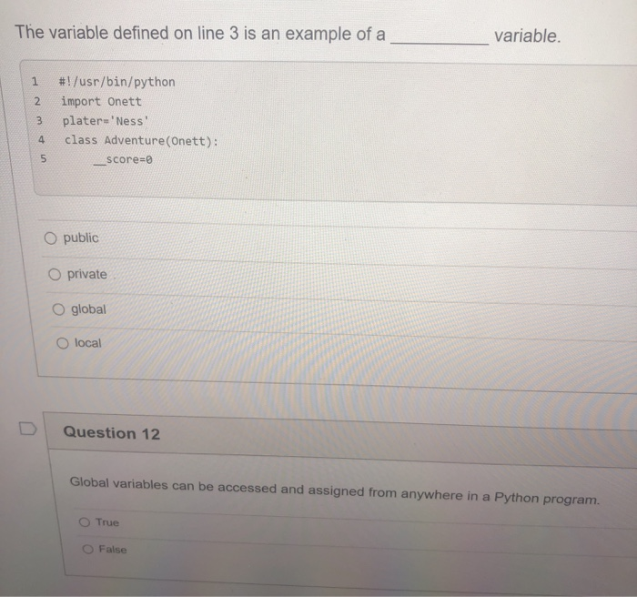 Solved variable. The variable defined on line 3 is an | Chegg.com