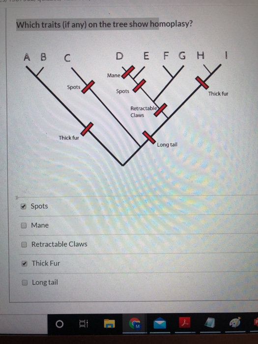 Solved Which traits (if any) on the tree show homoplasy? A B | Chegg.com