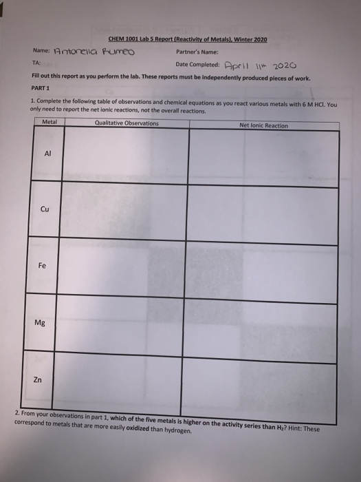 Solved CHEM 1001 Lab 5 Report (Reactivity of Metals), Winter | Chegg.com