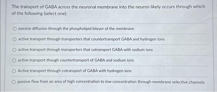 Solved The transport of GABA across the neuronal membrane | Chegg.com